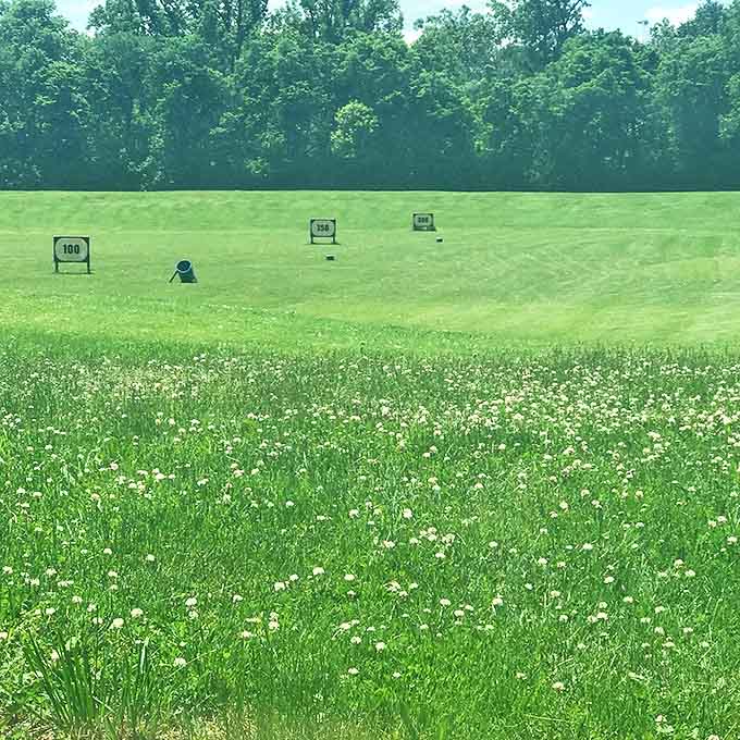The Caddie Shack Driving Range: where golf dreams soar, reality sometimes bites, and there's always room for "just one more bucket" of practice balls.