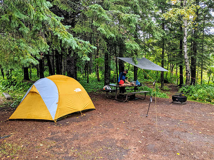 Forest camping at Judge C.R. Magney State Park proves that five-star accommodations don't need walls when you've got towering pines and pristine wilderness.