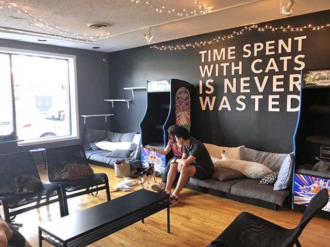 "Time spent with cats is never wasted" proclaims the wall in this thoughtfully designed space where string lights, arcade games, and comfy seating create the perfect atmosphere.