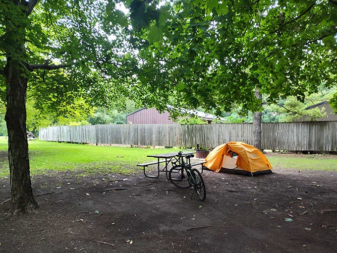 Camping here means falling asleep to nature's soundtrack instead of traffic noise, which does wonders for your stress levels and overall faith in humanity.