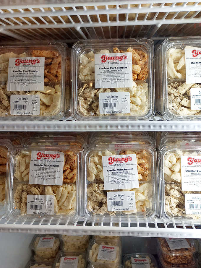Fresh cheese curds await dairy enthusiasts in the farm market. These squeaky treasures are the unsung heroes of Young's dairy excellence.