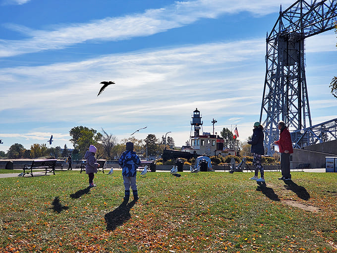 Children watch in fascination as birds perform aerial acrobatics against the backdrop of Duluth's harbor, nature's own entertainment program running on an endless loop.