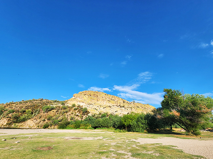 Morning light caresses the shoreline grasses, creating that golden glow photographers chase and Instagram filters try desperately to replicate.