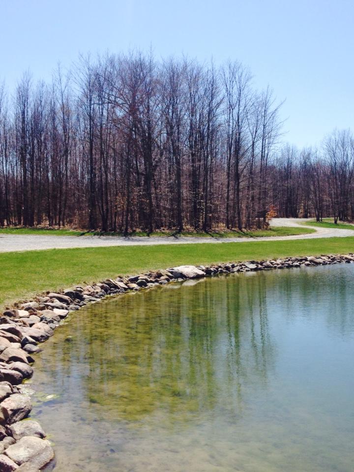 Stone meets water in perfect harmony at the pond's edge, where thoughtful landscaping creates a natural-looking boundary between elements.