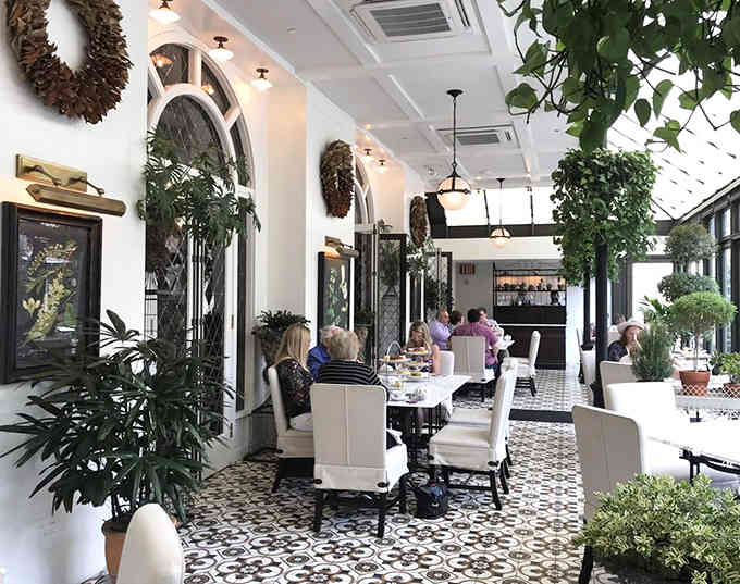 Dine in botanical splendor where natural light pours through windows, illuminating meals that deserve to be seen as well as tasted.