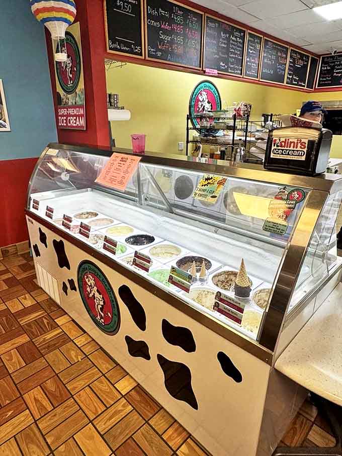 The display case reveals a rainbow of frozen possibilities, each flavor patiently waiting its turn to become someone's highlight of the day.