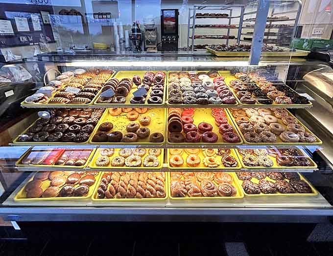 A treasure chest of fried delights arranged in neat rows, each promising its own unique morning adventure.