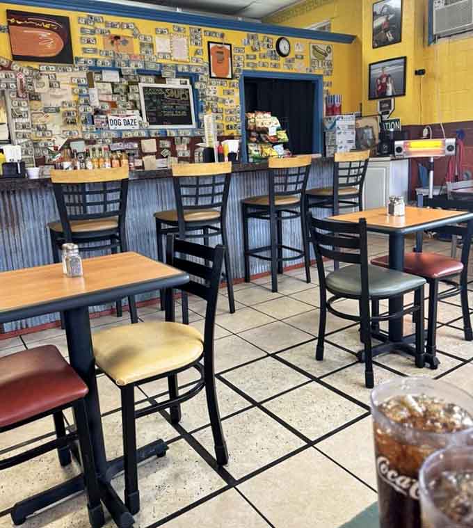 Counter seating with a view of dollar-covered walls creates that neighborhood diner vibe where everyone feels right at home immediately.