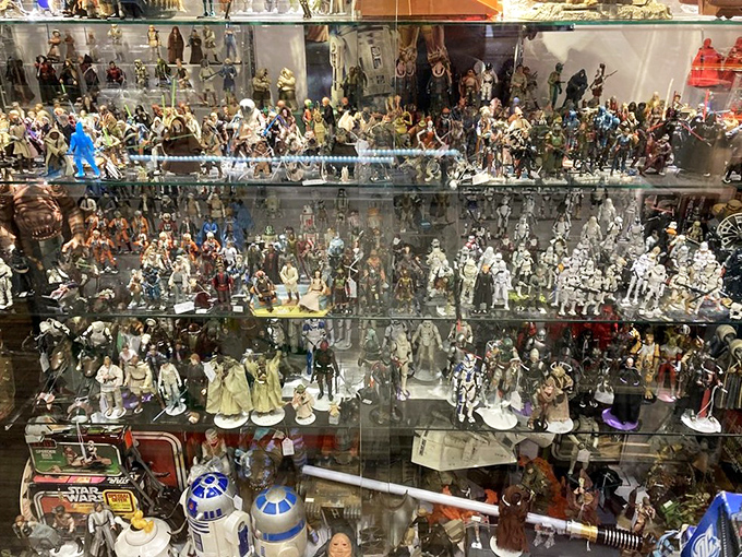Action figure displays so extensive they require their own zip code, each one a tiny portal to Saturday morning cartoon memories.