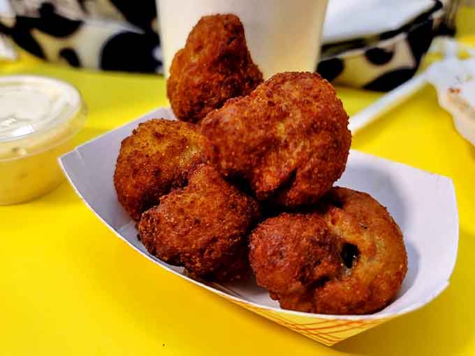 Golden-fried mushrooms that prove vegetables can absolutely be indulgent when properly breaded and crisped to perfection.