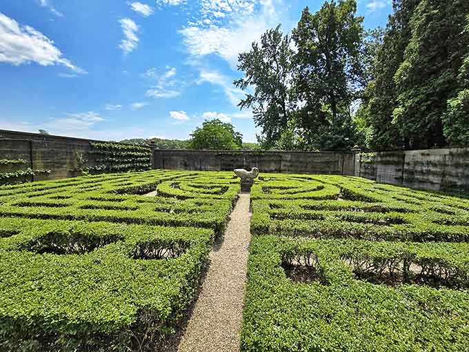 The garden maze invites visitors to lose themselves intentionally, a refreshing change from getting lost in email inboxes and social media feeds.