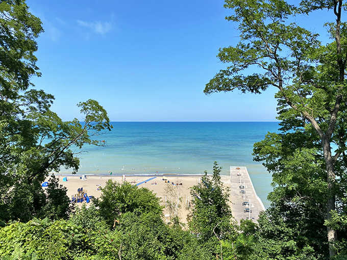 Nature frames the perfect view of Glencoe Beach, where treetops and blue waters create a living postcard that no filter could improve.