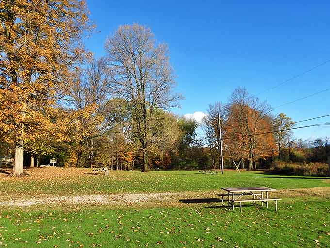 Nature's perfect picnic spot awaits with an inviting table set against a backdrop of autumn-kissed trees and open sky.