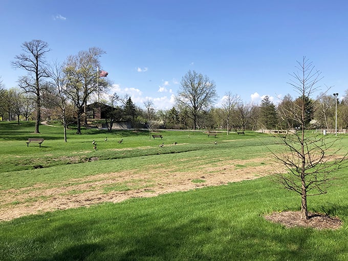 Hummer Park offers wide open green spaces where generations have played ball games, flown kites, and created lasting summer memories.