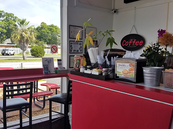 The cozy interior corner offers a moment of respite, where coffee steams and conversations flow as freely as the glazed perfection behind the counter.