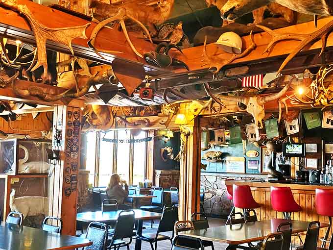 Antlers everywhere! The dining room ceiling showcases an impressive collection of natural chandeliers, while mounted trophies create a uniquely Michigan atmosphere.
