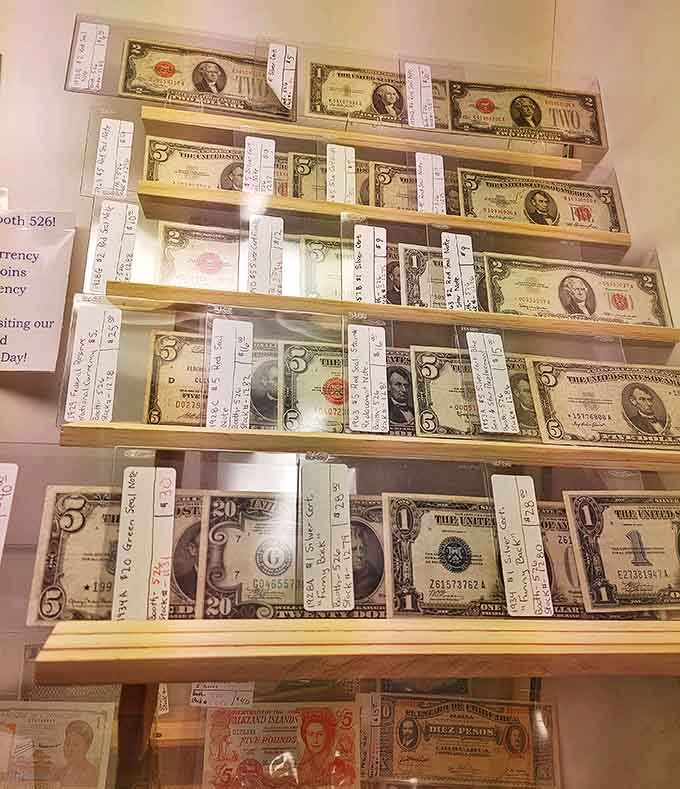 Vintage currency displays transform ordinary old money into historical artifacts, each bill a snapshot of America's economic and artistic evolution.
