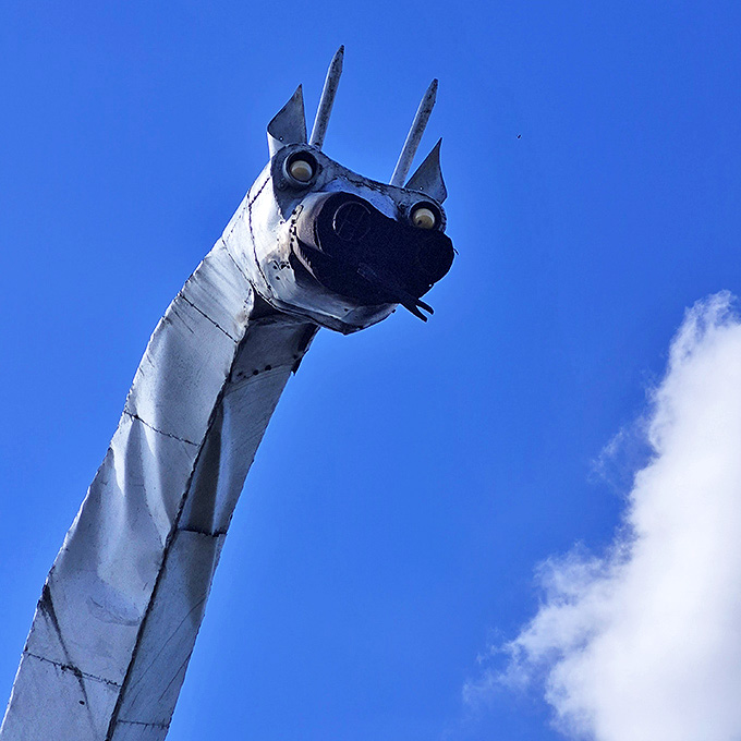 Up close, the dragon's head reveals impressive detail, from its expressive eyes to the carefully crafted snout that houses the flame mechanism.