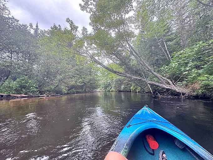 Paddling the pristine waters around Grayling offers front-row seats to nature's most peaceful show.