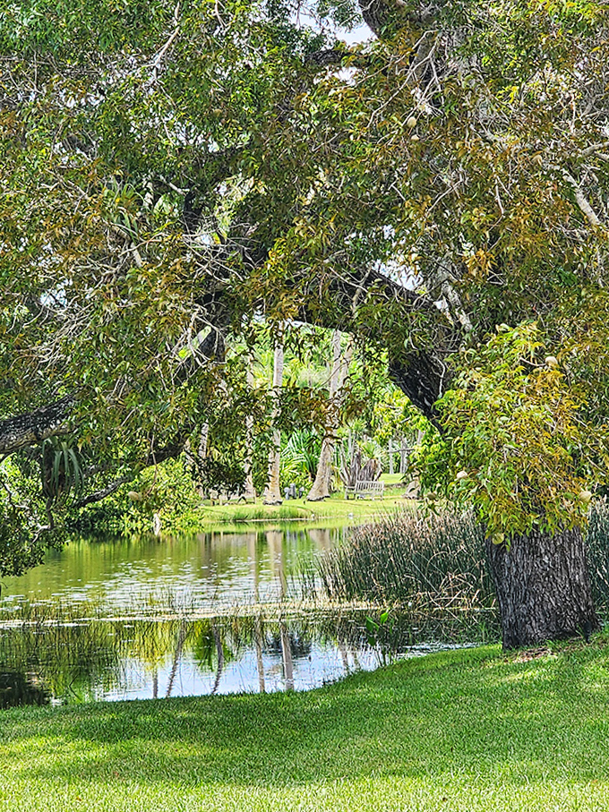 The perfect lakeside view that makes you want to cancel all your appointments and spend the day watching reflections ripple.