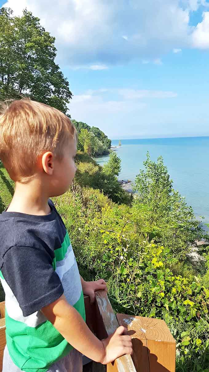 Young explorers discover the simple joy of a Great Lakes vista, creating memories that will outlast any theme park adventure.