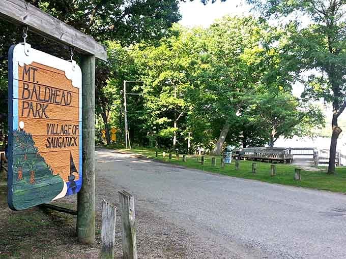Mount Baldhead Park's sign doesn't mention the thigh-burning climb ahead, but promises views worth every step and breath.