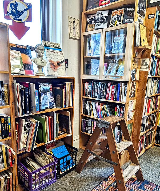 A symphony of books about symphonies, where music history and biographies create their own kind of harmony.