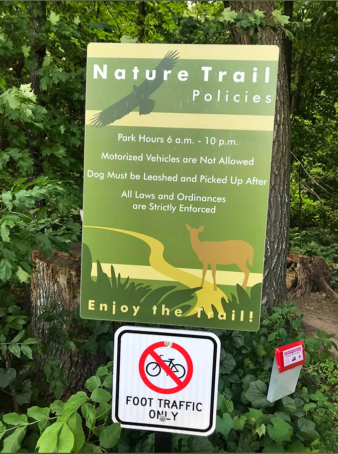 Clear trail signage ensures visitors understand the rules that help preserve this natural sanctuary for everyone to enjoy.