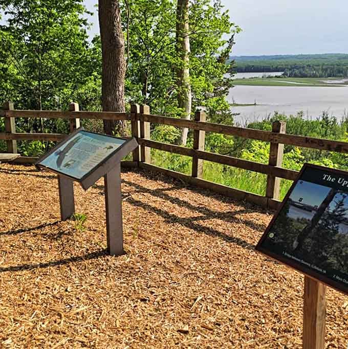 Educational signage that transforms a casual stroll into a fascinating outdoor classroom without the homework.