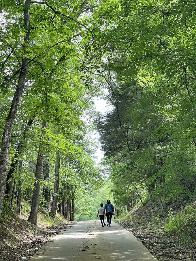 The tree-lined walking path invites visitors to stroll hand-in-hand, where dappled sunlight creates nature's own light show.