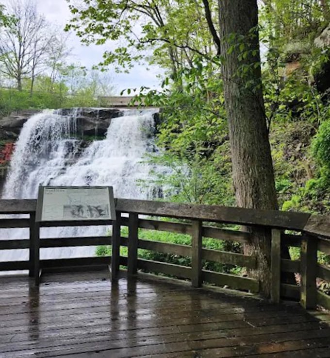 The observation deck offers front-row seats to nature's greatest show &ndash; no tickets required, standing ovations happen automatically.