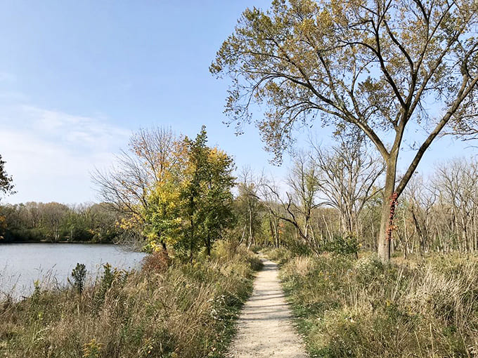 Pathway: This winding dirt ribbon guides explorers between water and wilderness, promising discoveries with every curve and corner.