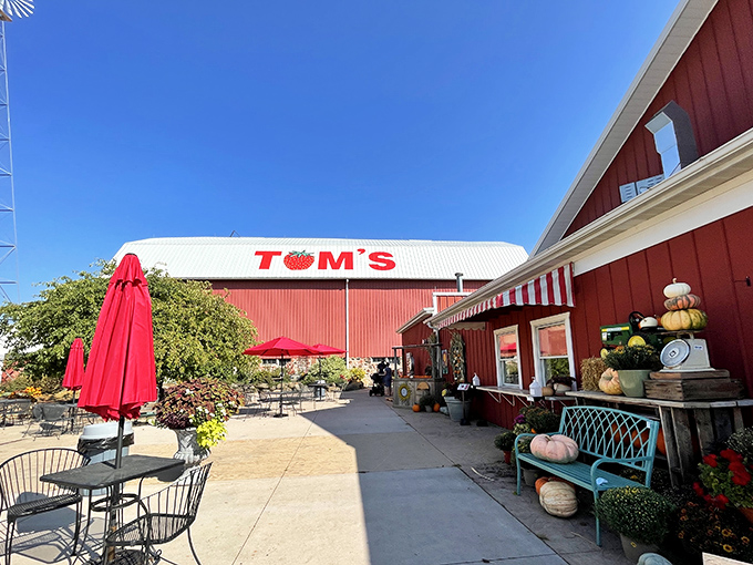The sunny patio area offers a perfect spot to immediately devour whatever you've purchased, because who has the willpower to wait until home?