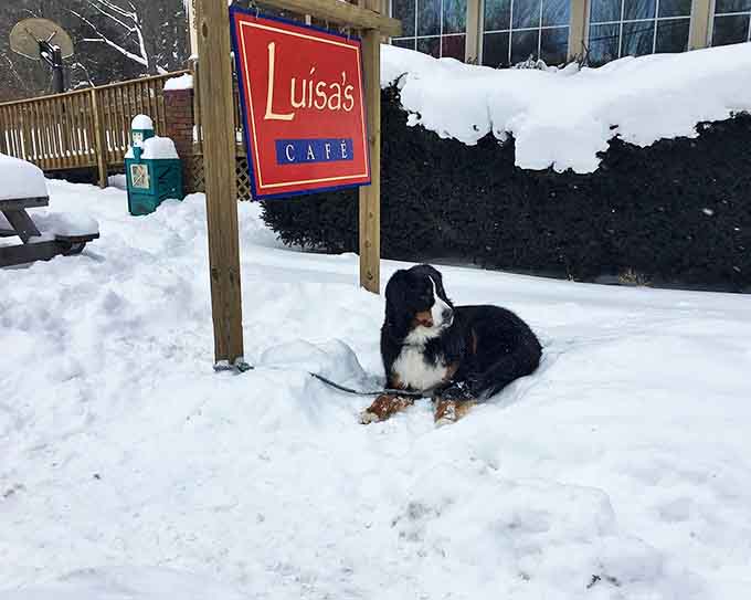 Even the four-legged friends appreciate the welcoming vibe at this community gathering spot.