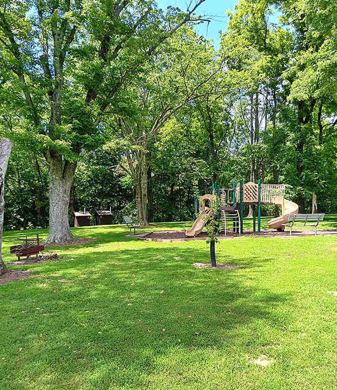 Childhood joy in its natural habitat: a playground nestled among towering trees, where imagination runs as wild as the surroundings.
