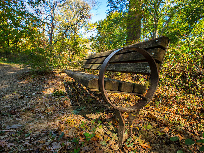 This weathered bench offers more than rest&mdash;it's front-row seating to nature's greatest show, no ticket required.