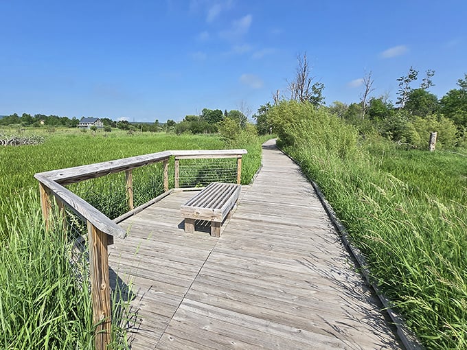 A bench invites weary wanderers to pause and absorb the view &ndash; nature's version of premium seating.