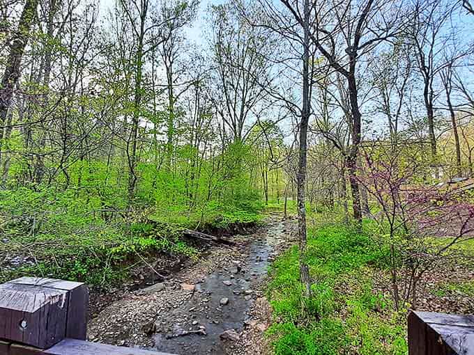Spring brings renewal as this gentle stream carves its patient path through the forest, a reminder that persistence trumps force.