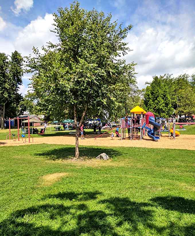 St. Mary's Park offers riverside beauty and recreational opportunities along the River Raisin where nature and community intersect beautifully together.