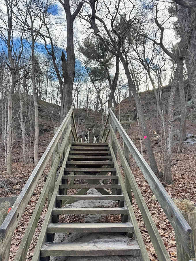 These wooden steps promise adventure with each ascent &ndash; the perfect metaphor for how small efforts lead to magnificent rewards.