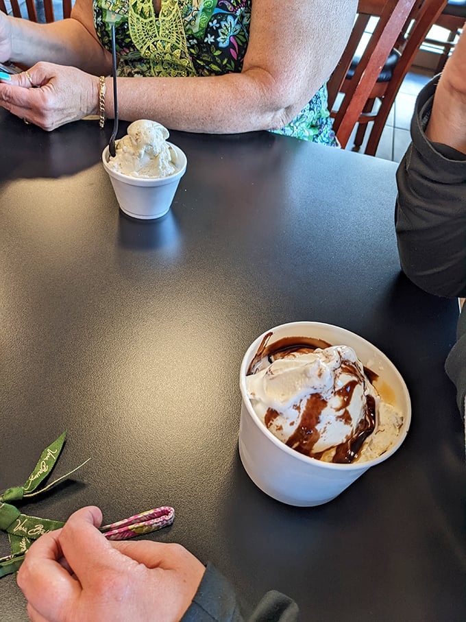 Two sundaes sitting innocently on the table, plotting how to convert ordinary afternoons into memorable moments of pure indulgence.