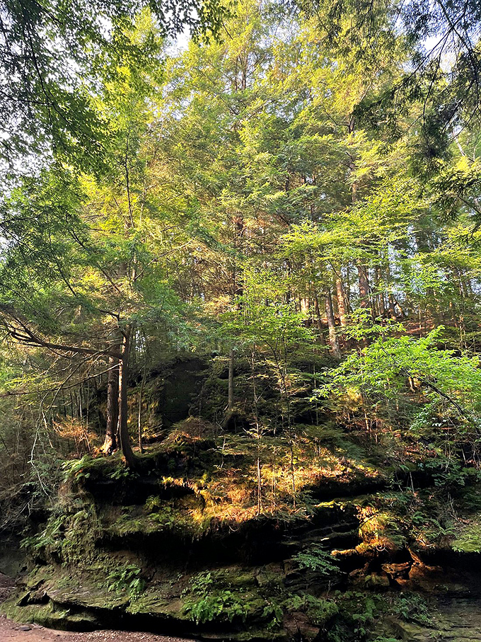Emerald velvet cloaks these ancient rocks, creating a Hobbit-worthy landscape that Tolkien himself would approve of.