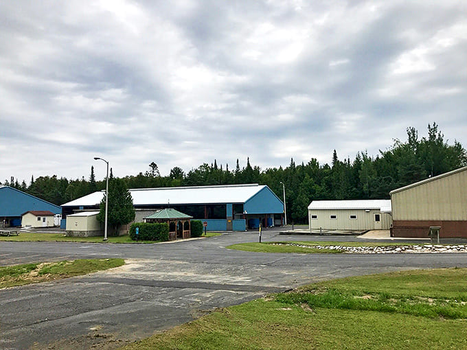 Thompson State Fish Hatchery quietly ensures Michigan's waters remain teeming with fish, a behind-the-scenes hero of the state's ecosystem.