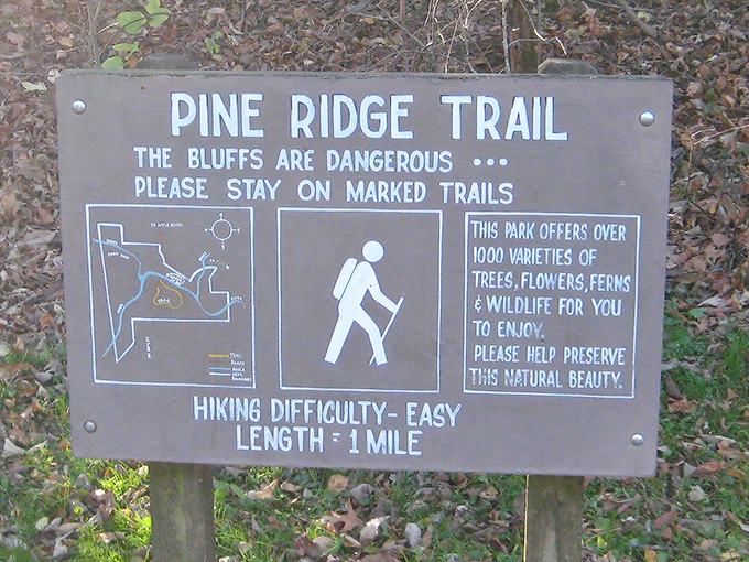 The Pine Ridge Trail welcomes hikers of all abilities with its gentle terrain and rewarding views &ndash; just follow the signs to find your bliss.