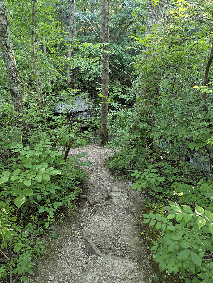 The trail whispers promises of discovery around every bend. Your Instagram feed is about to make all your followers jealous.