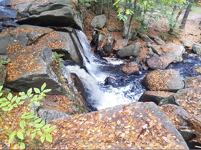The waterfall doesn't just fall &ndash; it dances, it sings, it performs a geological ballet that's been running longer than Broadway's finest.