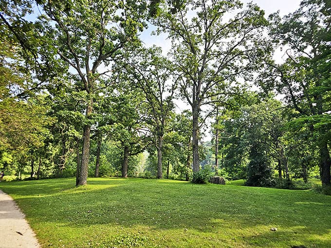 Majestic trees create nature's perfect park, their canopy offering shade that no umbrella could ever hope to rival.