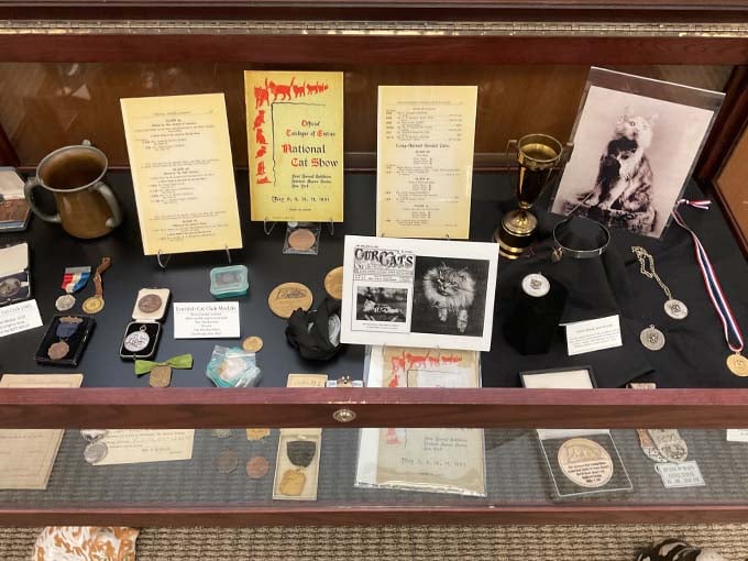 Cat show memorabilia, trophies, and ribbons document the competitive world of cat breeding &ndash; where perfection is measured in whiskers and tail length.