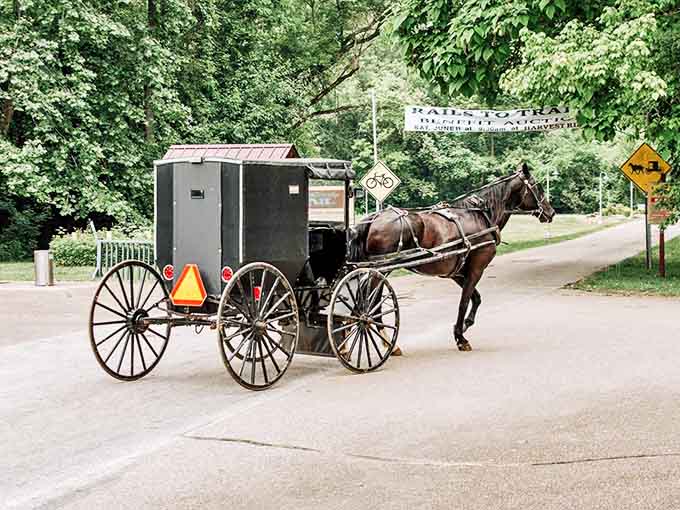 The Amish buggy – transportation that never needs a software update, runs on renewable energy, and comes with built-in climate control (just open the windows).