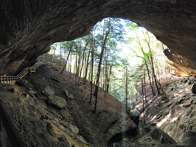 Looking outward from Whispering Cave's embrace &ndash; a window to the forest beyond. Inside looking out, perspective shifts in magical ways.